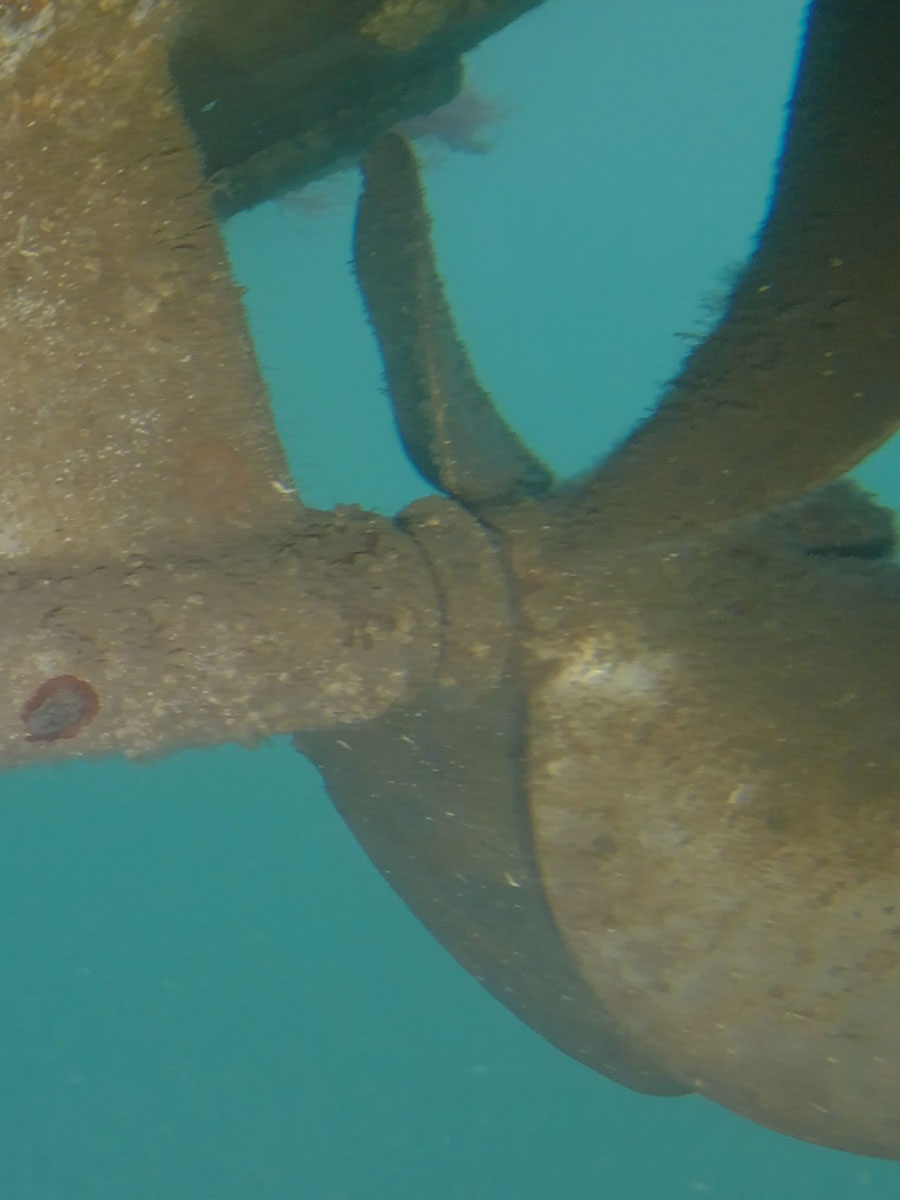 Hull inspection - Fish Farming Work Boat Within Scapa Flow - Scapa ...